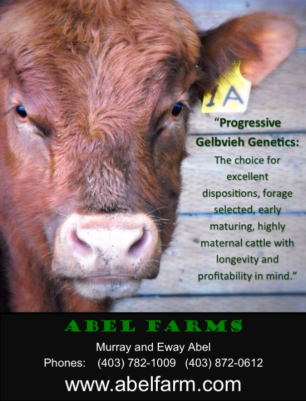 Contact – Abel Farm